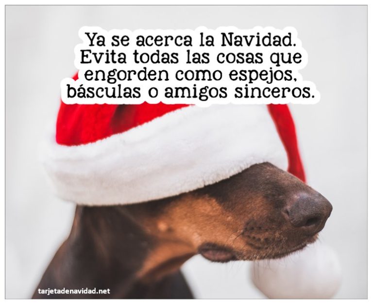 Frases Chistosas de Navidad Tarjetas de navidad